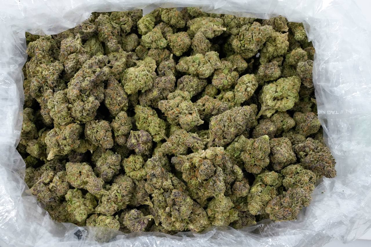 BLUEBERRY BLAST – Dopey Distro